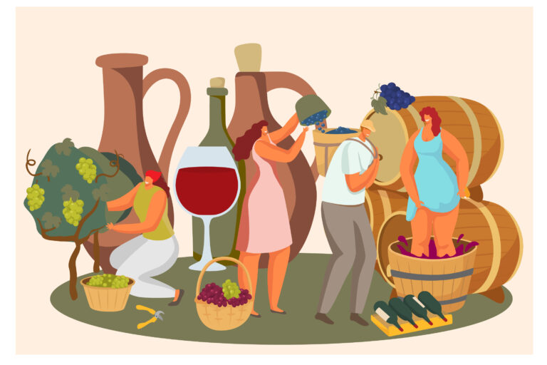 Fabrication du vin : 7 étapes pour mieux comprendre - ArteVino